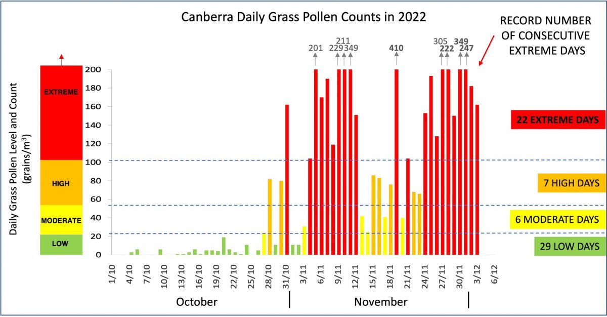 Canberra pollen breaks records as TGA approves first new antihistamine ...